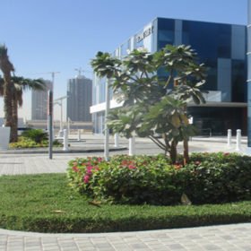 proscapefmllc – Tanseeq Investment